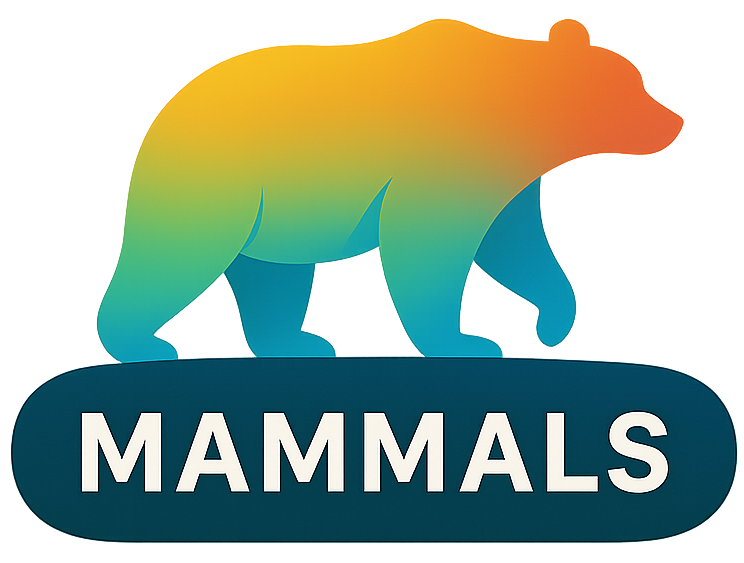 Animals – Go-Neo